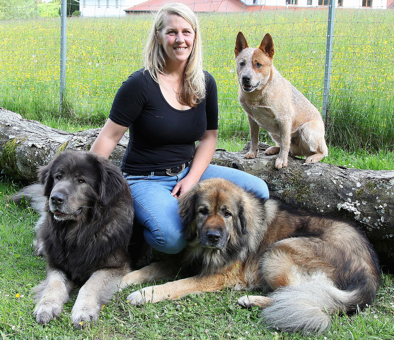 Hundeschule Rossbach & Hundesalon "Sherry" Rossbach